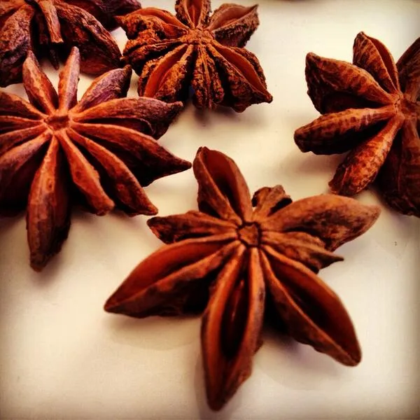 Staranise - Kerala Spices