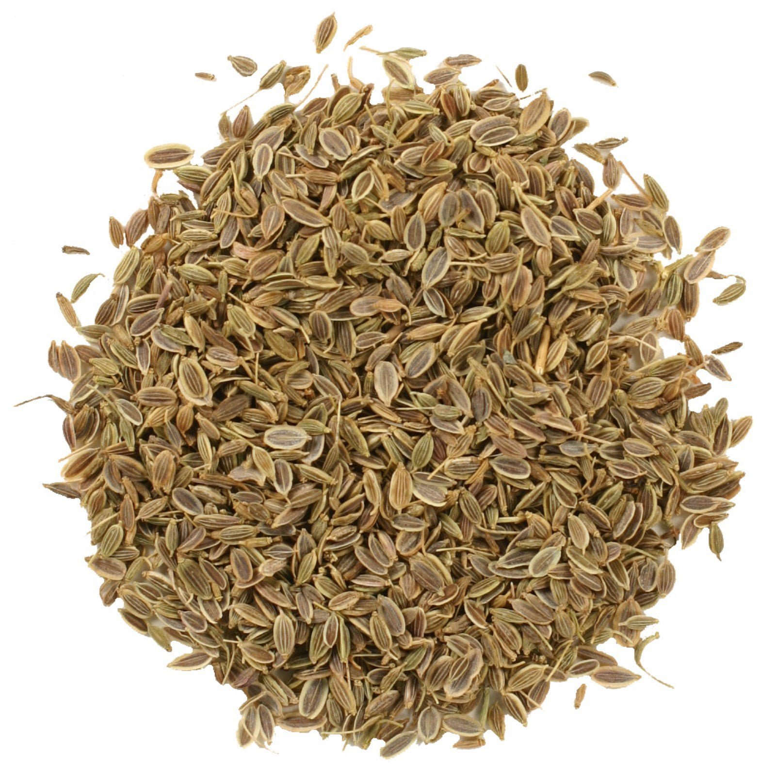 Crown-dill - Kerala Spices