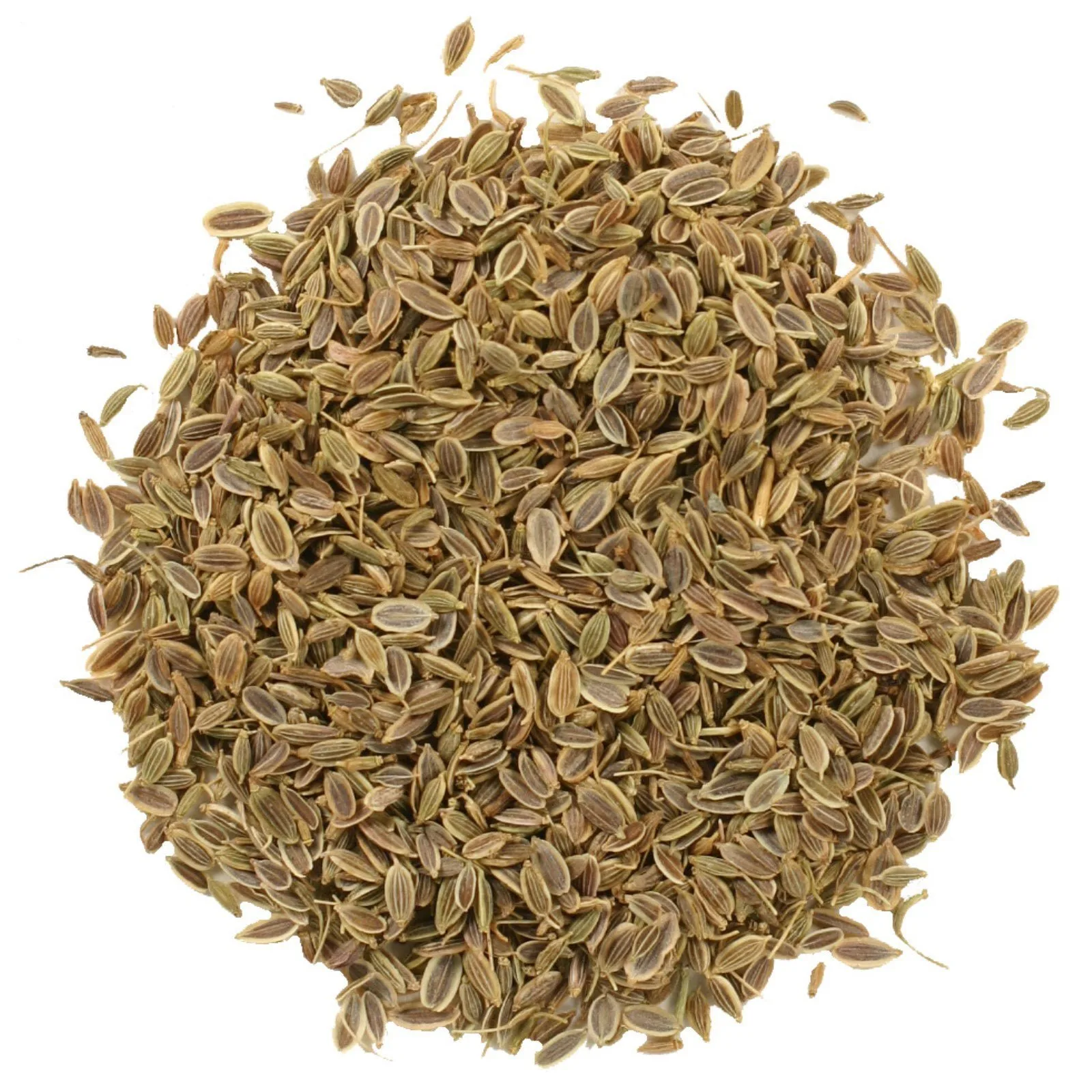 Crown-dill - Kerala Spices